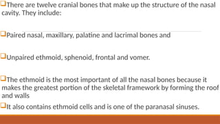 Nose and paranasal sinuses ( head anatomy) | PPT