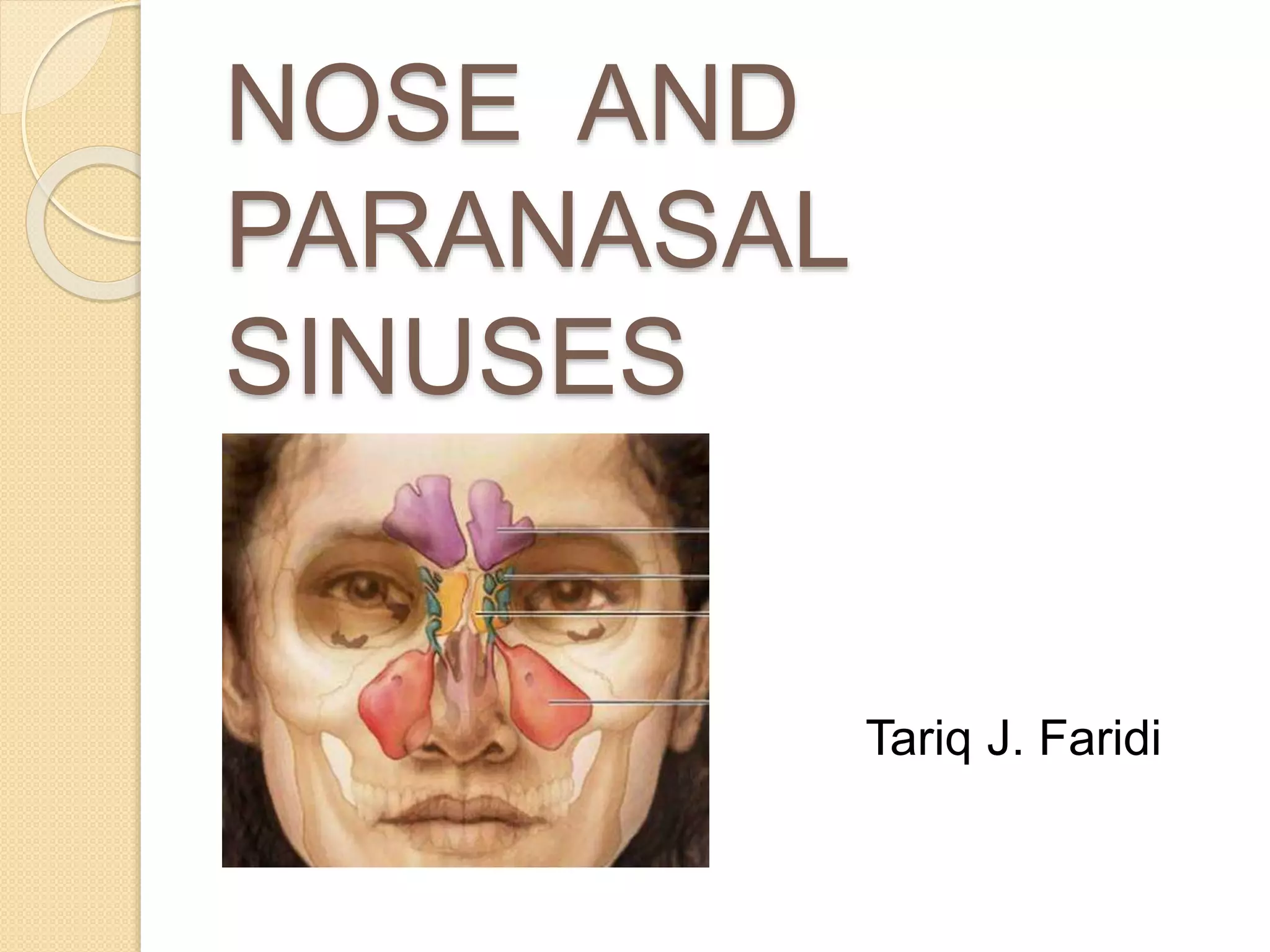 nose and paranasal sinuses EXCELLENT SLIDES TO CULL FROM NOSE SINUSES ...