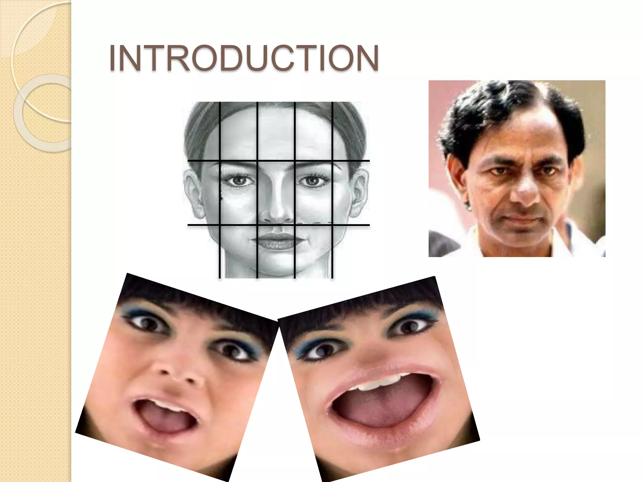 nose and paranasal sinuses EXCELLENT SLIDES TO CULL FROM NOSE SINUSES ...