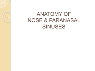 nose and paranasal sinuses EXCELLENT SLIDES TO CULL FROM NOSE SINUSES ...