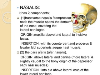 nose and paranasal sinuses EXCELLENT SLIDES TO CULL FROM NOSE SINUSES ...