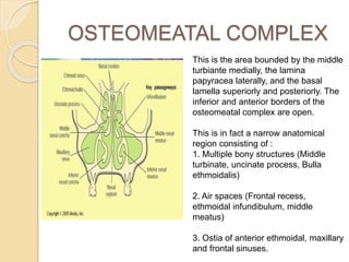 nose and paranasal sinuses EXCELLENT SLIDES TO CULL FROM NOSE SINUSES ...