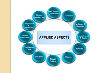 nose and paranasal sinuses EXCELLENT SLIDES TO CULL FROM NOSE SINUSES ...