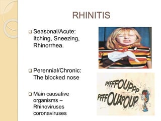 nose and paranasal sinuses EXCELLENT SLIDES TO CULL FROM NOSE SINUSES ...