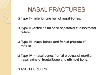 nose and paranasal sinuses EXCELLENT SLIDES TO CULL FROM NOSE SINUSES ...