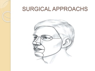 nose and paranasal sinuses EXCELLENT SLIDES TO CULL FROM NOSE SINUSES ...