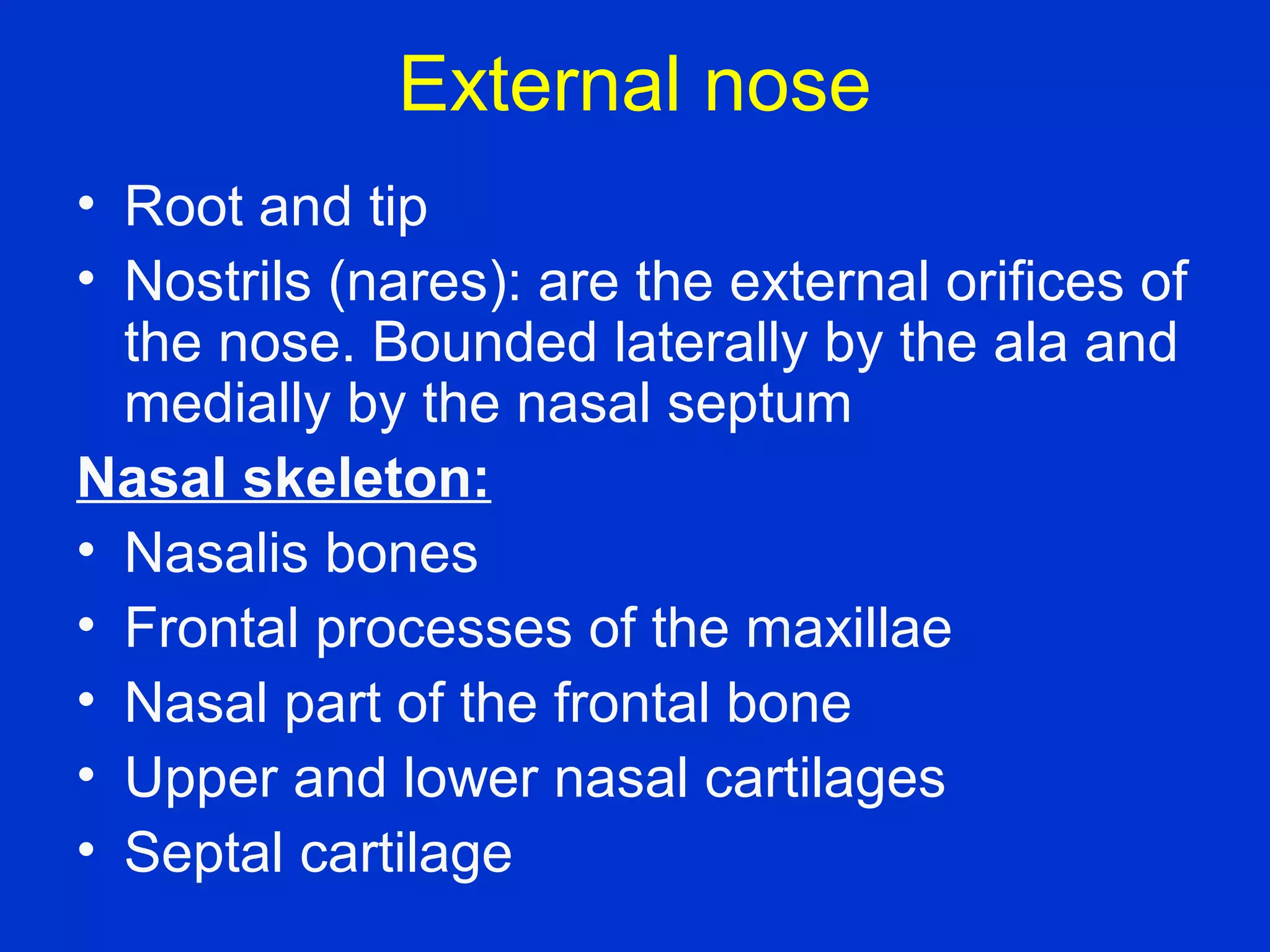 Nose and paranasal sinuses extra shortened | PPT