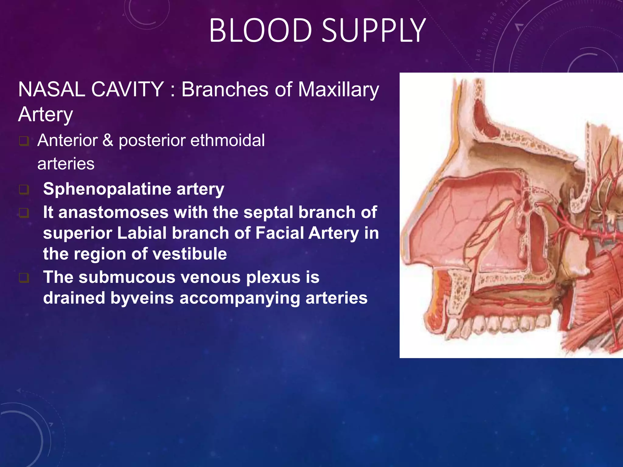 Nose and para nasal sinus meher | PPTX