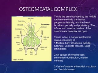 Nose and para nasal sinus meher | PPTX