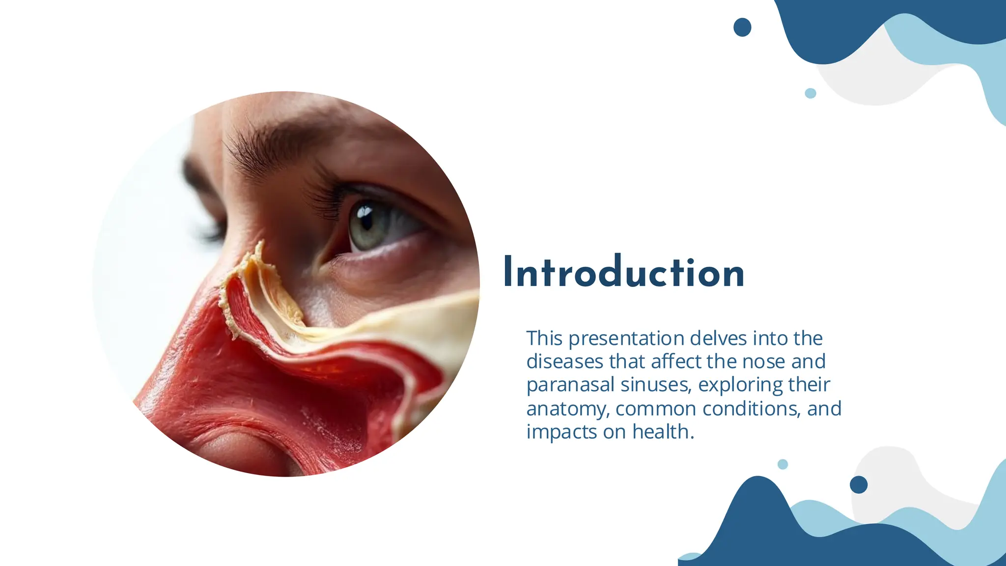 Nose and Sinuses ( nasal anatomy, structure of the nose and paranasal ...