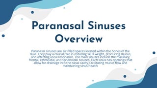 Nose and Sinuses ( nasal anatomy, structure of the nose and paranasal ...