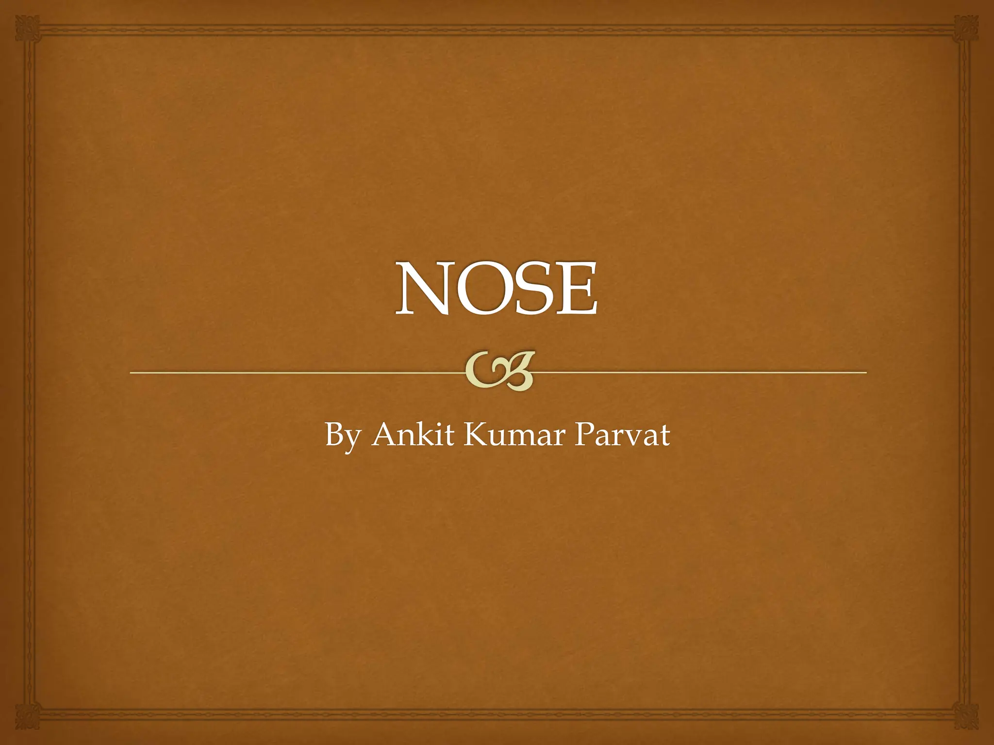 NOSE assignment .pptx