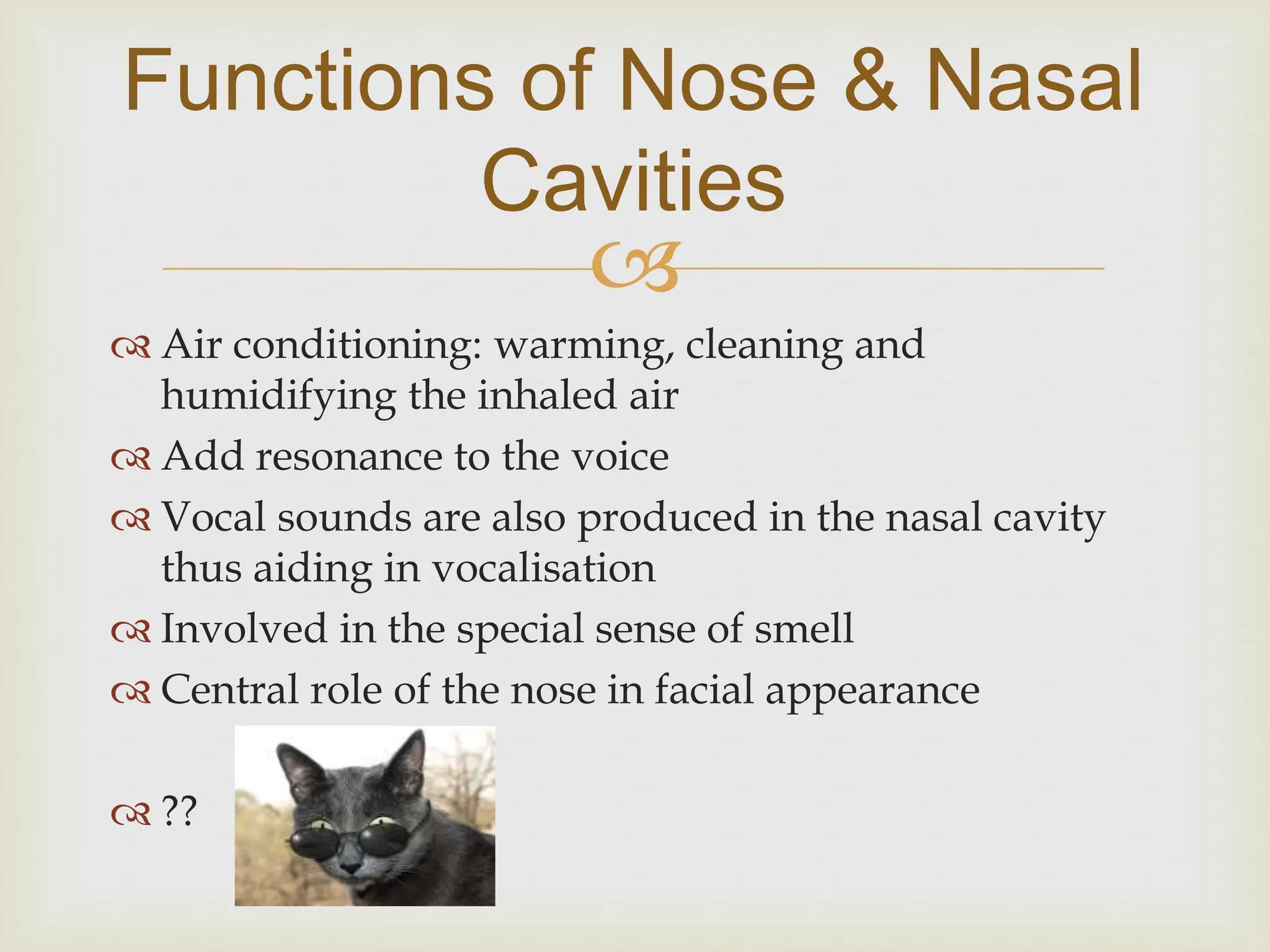 NOSE assignment .pptx