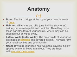 NOSE assignment .pptx