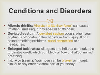 NOSE assignment .pptx