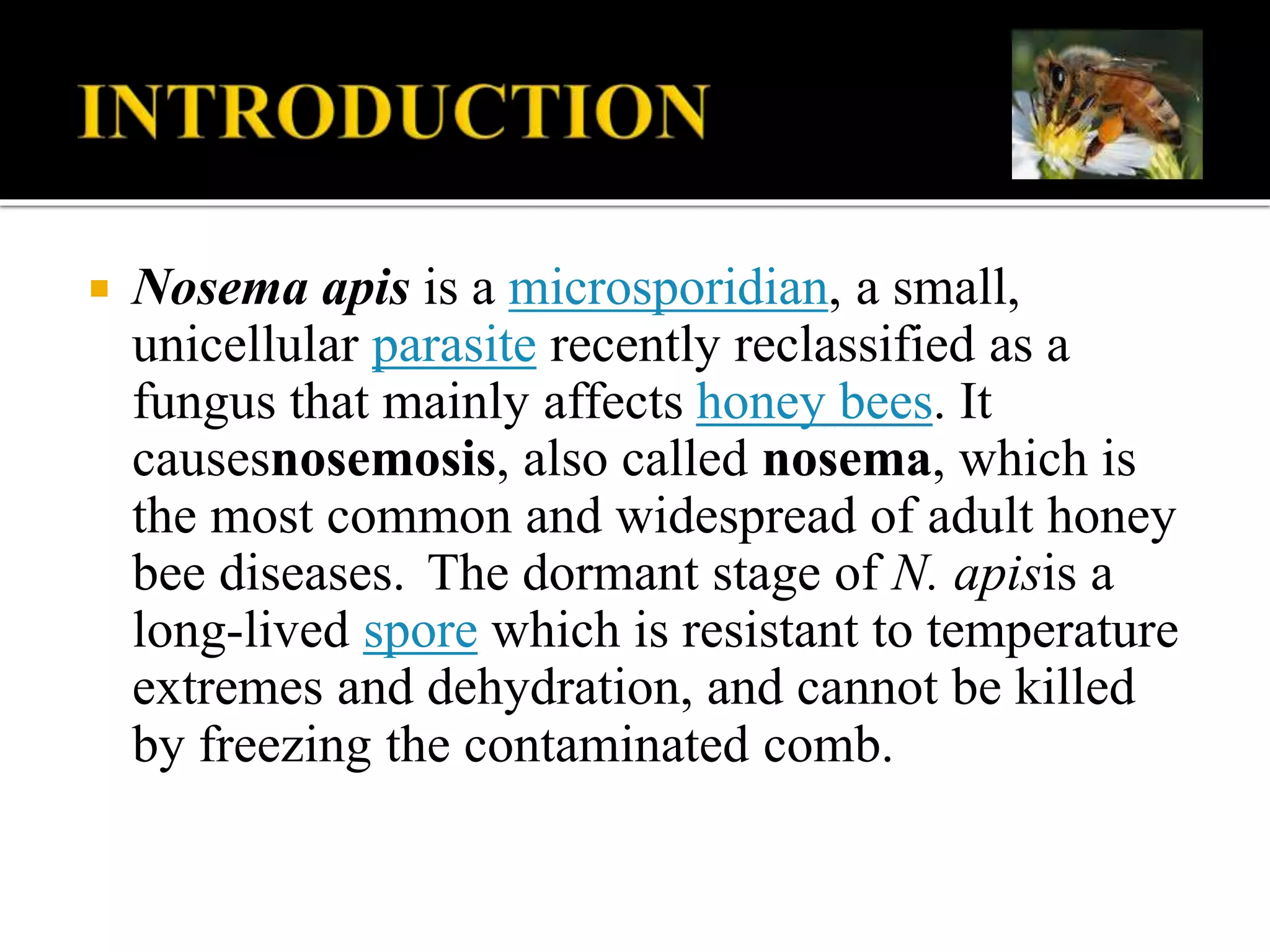 Nosema apis | PPTX