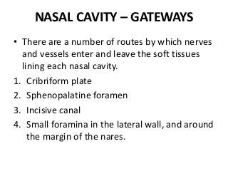 Nose, nasal cavity and paranasal sinuses.pptx