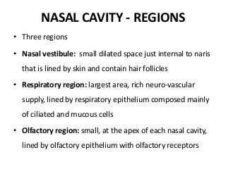 Nose, nasal cavity and paranasal sinuses.pptx