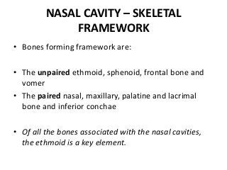 Nose, nasal cavity and paranasal sinuses.pptx
