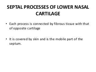 Nose, nasal cavity and paranasal sinuses.pptx