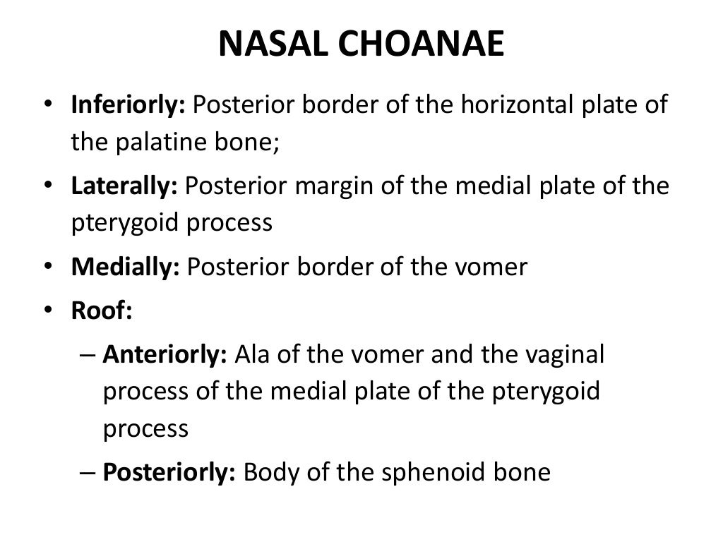 Nose, nasal cavity and paranasal sinuses.pptx