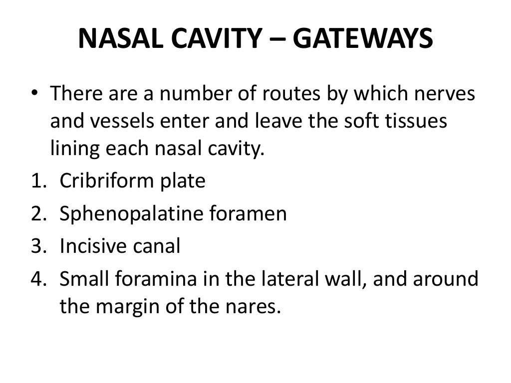 Nose, nasal cavity and paranasal sinuses.pptx
