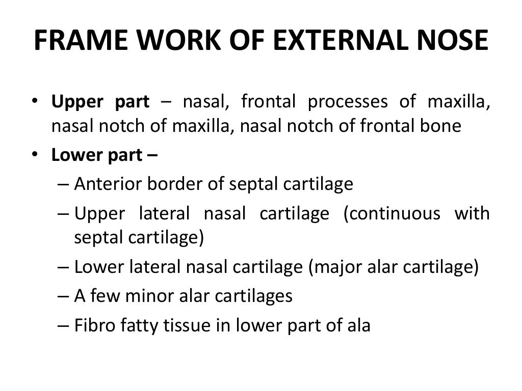Nose, nasal cavity and paranasal sinuses.pptx
