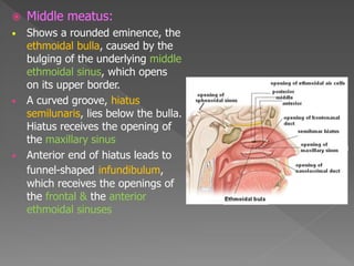 Nose, Nasal cavity & Paranasal sinuses.ppt