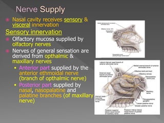 Nose, Nasal cavity & Paranasal sinuses.ppt