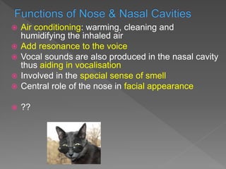 Nose, Nasal cavity & Paranasal sinuses.ppt