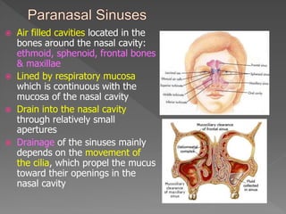 Nose, Nasal cavity & Paranasal sinuses.ppt