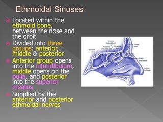 Nose, Nasal cavity & Paranasal sinuses.ppt