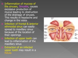 Nose, Nasal cavity & Paranasal sinuses.ppt