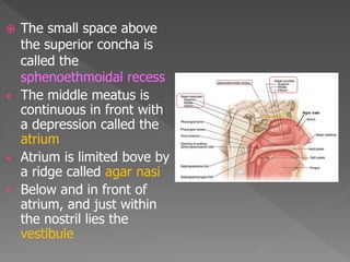 Nose, Nasal cavity & Paranasal sinuses.ppt
