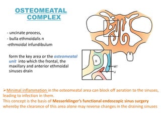 Anatomy of Nose and Paranasal Sinuses | PPTX