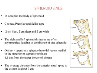 Anatomy of Nose and Paranasal Sinuses | PPTX