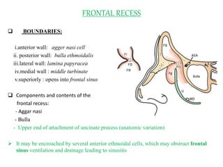 Anatomy of Nose and Paranasal Sinuses | PPT