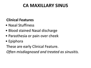 Nose and PNS Carcinoma (for UNDERGRADUATES) | PPTX