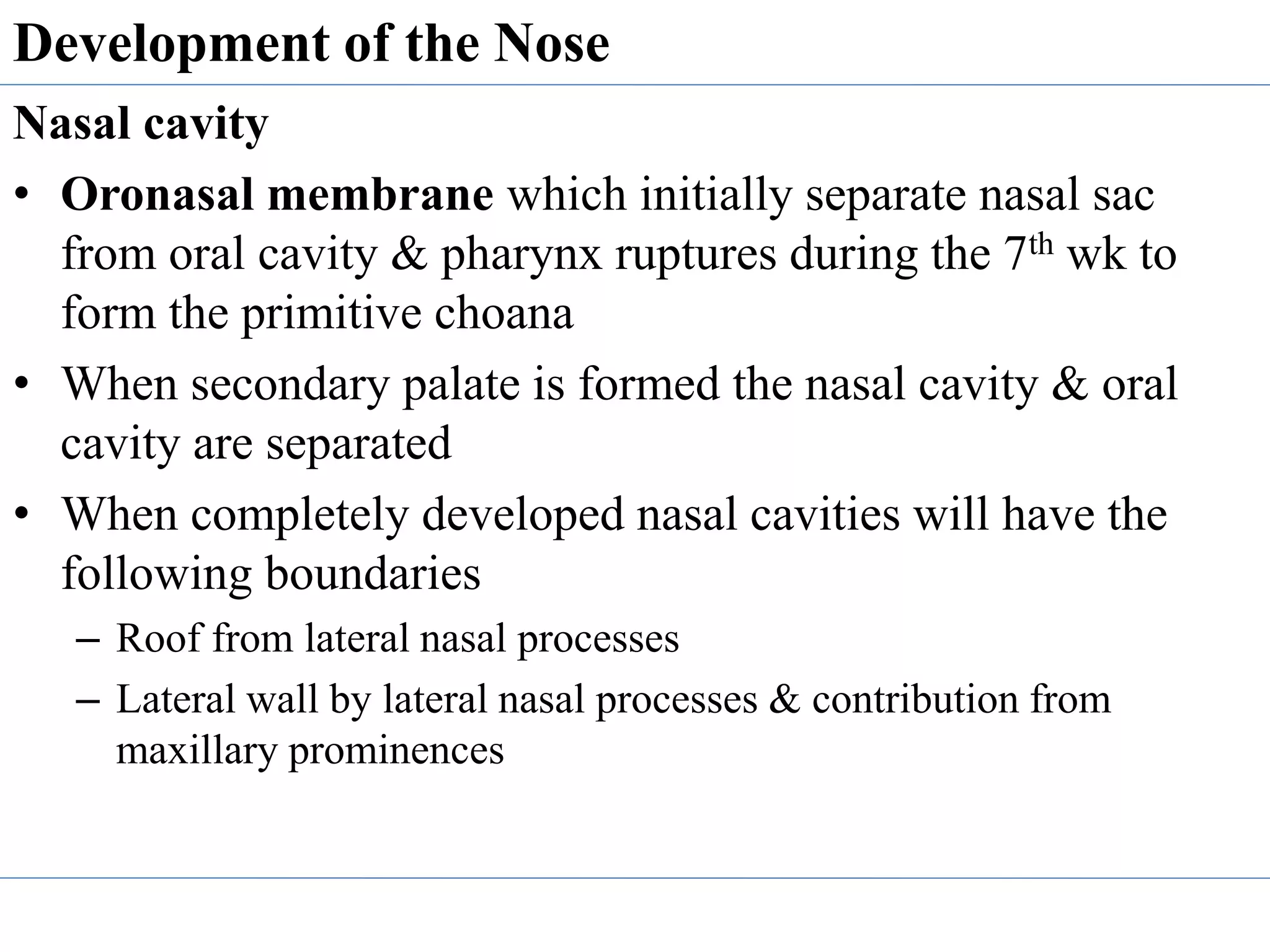 nose, paranasal sinus and pharynx dev't.pptx