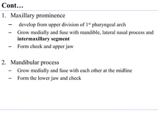 nose, paranasal sinus and pharynx dev't.pptx