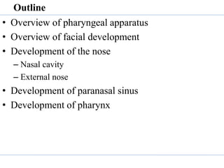 nose, paranasal sinus and pharynx dev't.pptx