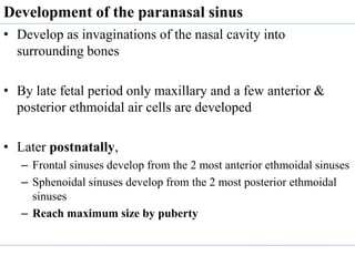 nose, paranasal sinus and pharynx dev't.pptx