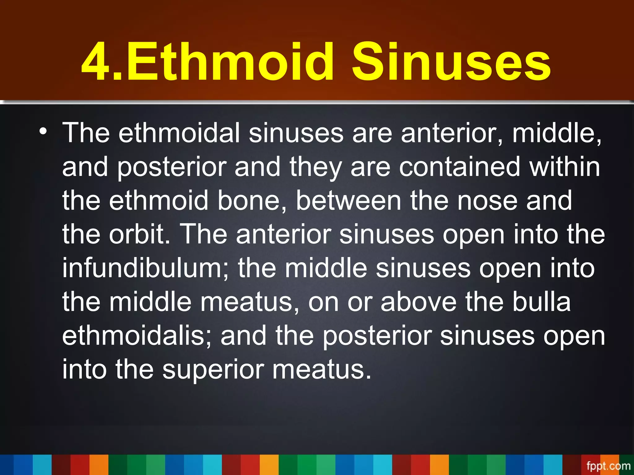 Nose, paranasal sinuses and ear | PPT | Ear, Nose and Throat Conditions ...