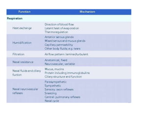3 Functions Of Paranasal Sinuses