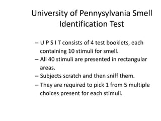 PHYSIOLOGY OF NOSE & PARANASAL SINUSES | PPTX
