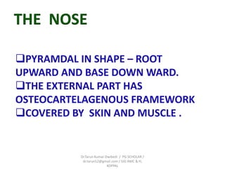 Nose & PNS | PPTX