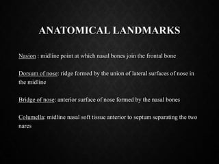 Anatomy of Nose and PNS | PPTX