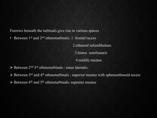 Anatomy of Nose and PNS | PPTX