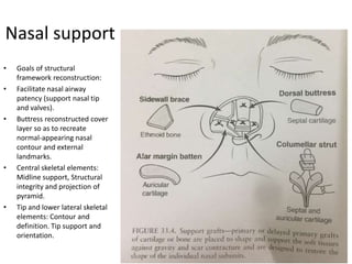 Nose reconstruction | PPTX