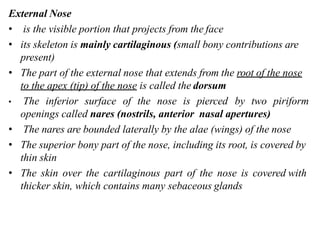 nose respiratory | PPTX